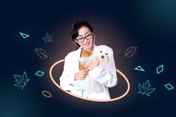 2024 WVC Annual Conference - It's Time To Vet Differently