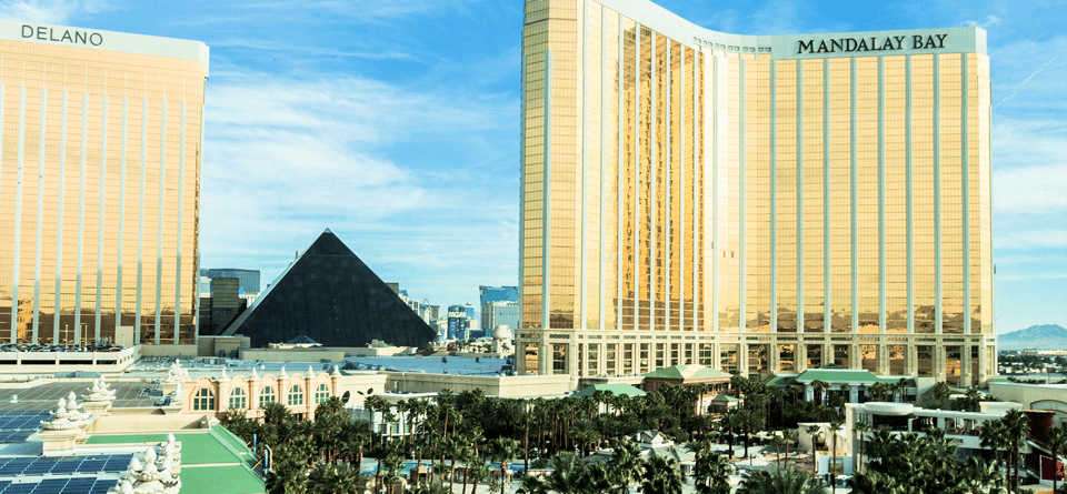 2024 WVC Annual Conference - It's Time To Vet Differently