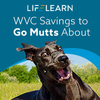 2025 WVC Annual Conference | CE Conference for Veterinary Professionals