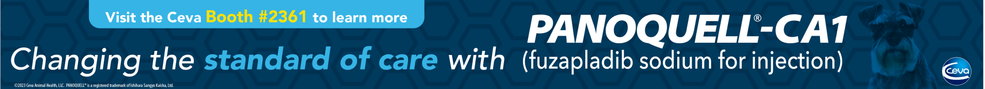 2024 WVC Annual Conference - It's Time To Vet Differently