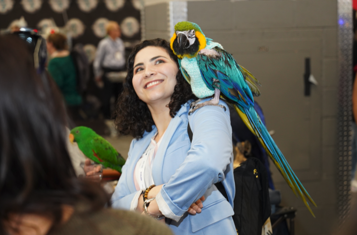 WVC Annual Conference | CE Conference for Veterinary Professionals