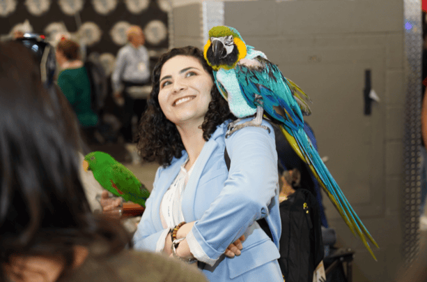 WVC 2026: Exhibitor Information