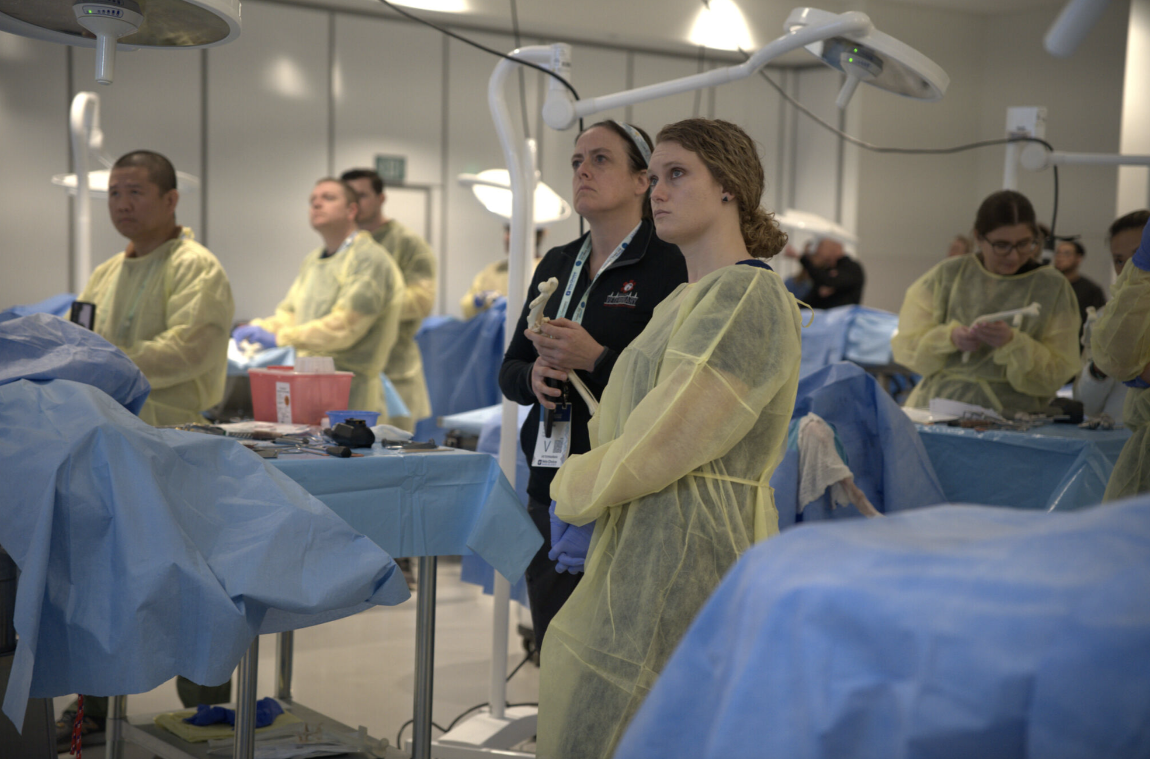 WVC Nashville | CE Conference for Veterinary Professionals