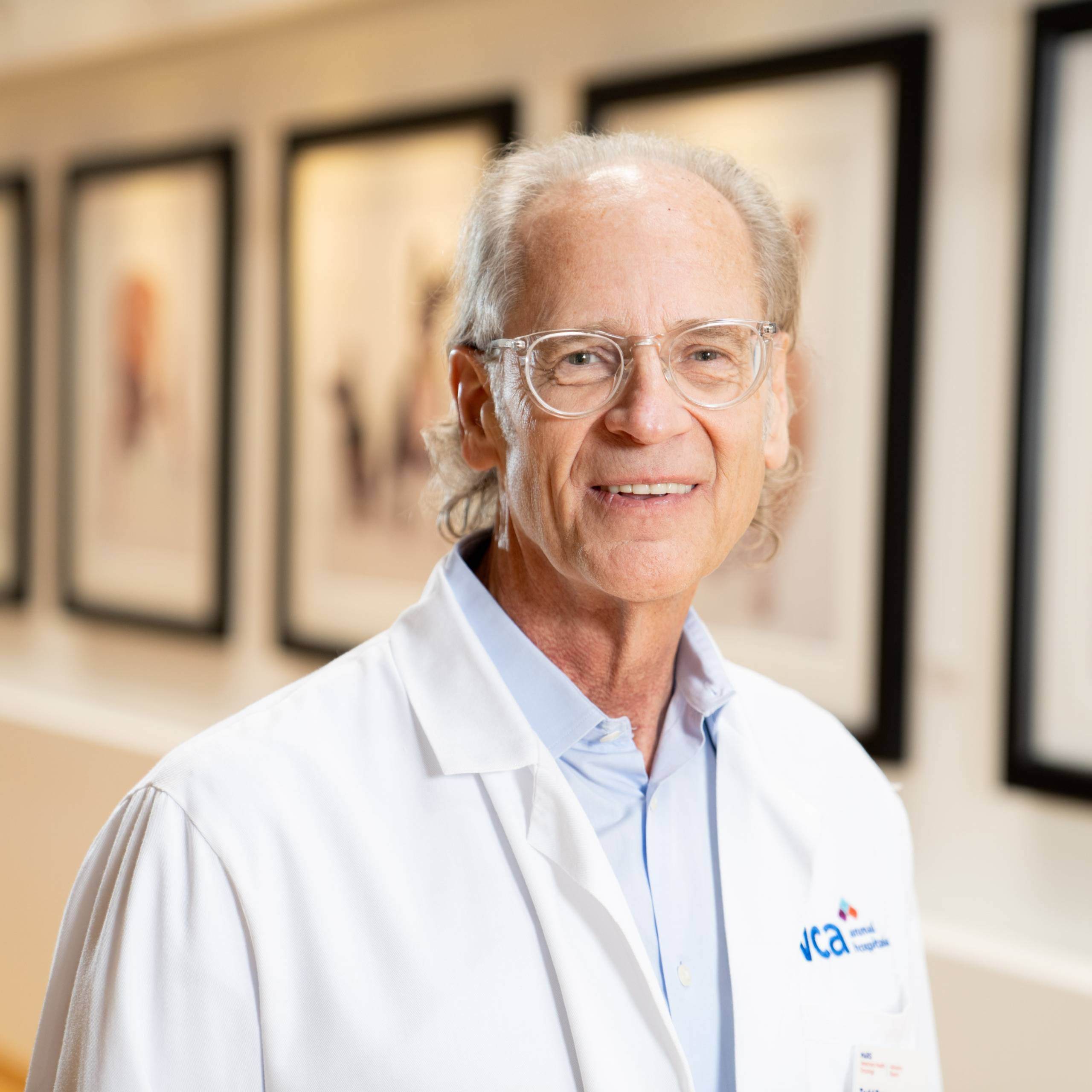 Flexible and Rigid Endoscopy: Hands-on Veterinary CE (November 2025)