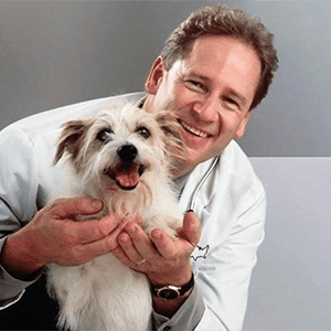 Flexible and Rigid Endoscopy - Hands-on Veterinary CE