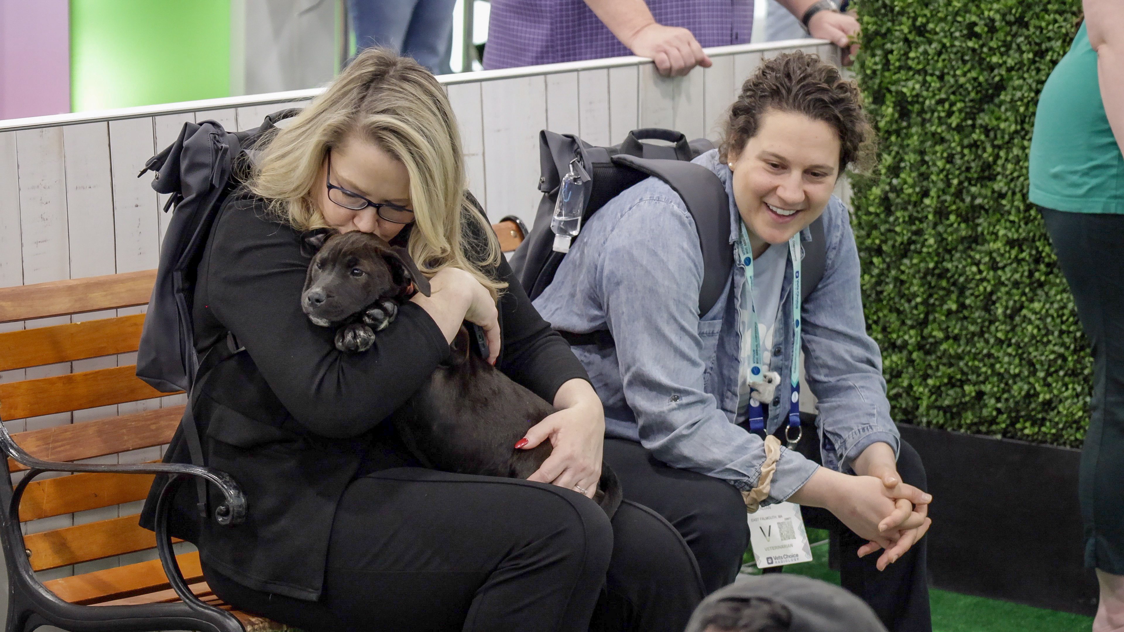 WVC Annual Conference | CE Conference for Veterinary Professionals