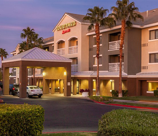 Basic Abdominal Ultrasound - Hands-on Veterinary CE