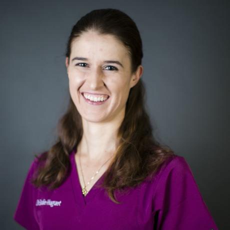 Basic Abdominal Ultrasound - Hands-on Veterinary CE