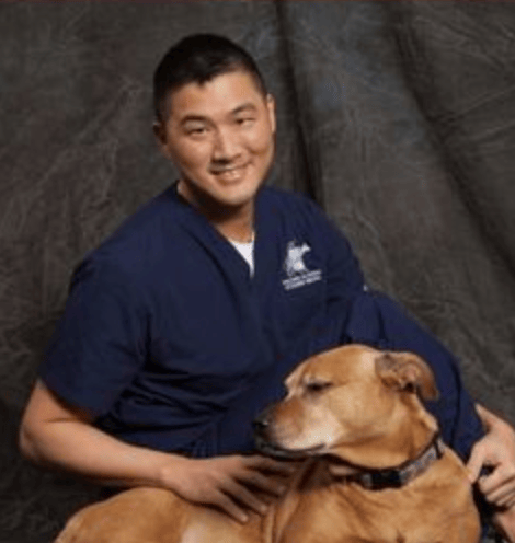 Intermediate/Advanced Ultrasound - Hands-on Veterinary CE (September 2026)