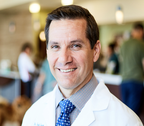 Flexible and Rigid Endoscopy: Hands-on Veterinary CE (Sept. 2024)