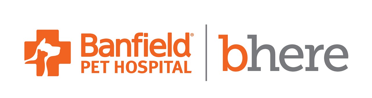 2024 WVC Annual Conference - It's Time To Vet Differently