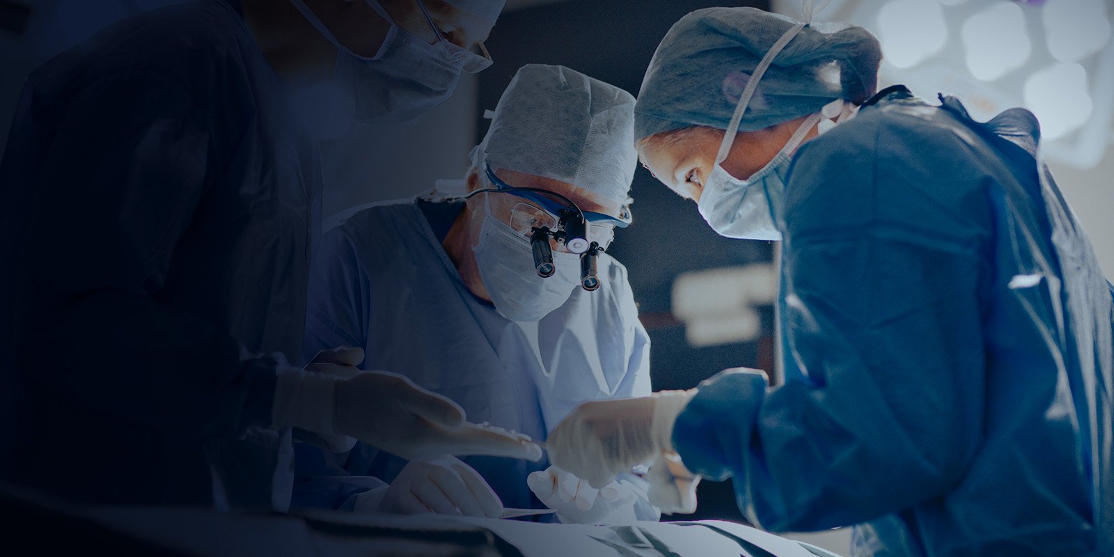 Veterinary Training Events