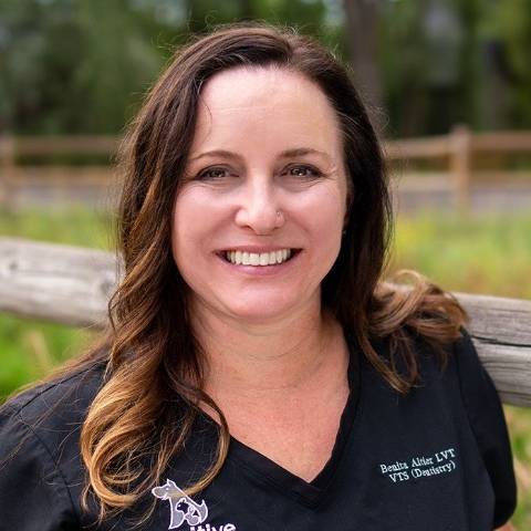 WVC Annual Conference - Education and CE