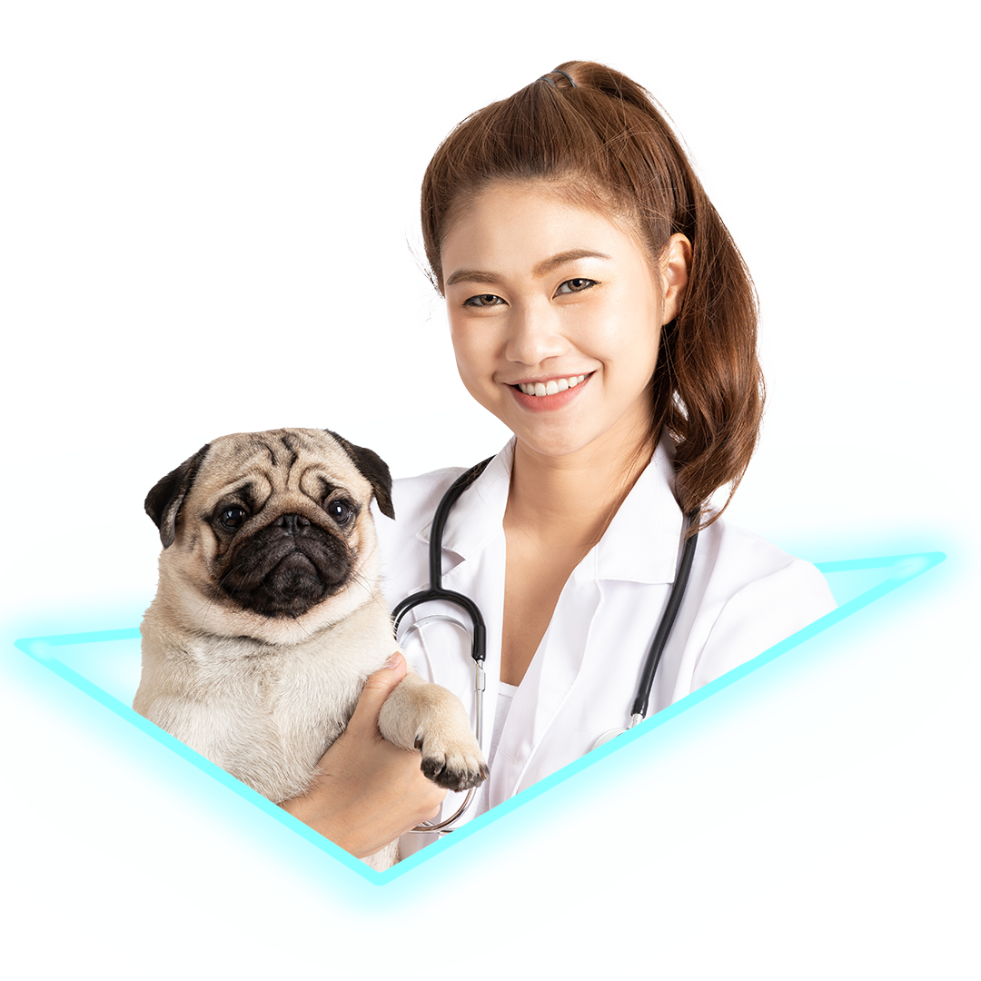 WVC Annual Conference - Education and CE